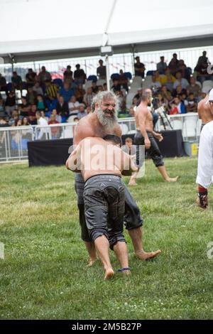 The classic turkish sport, Wrestle competition Stock Photo - Alamy