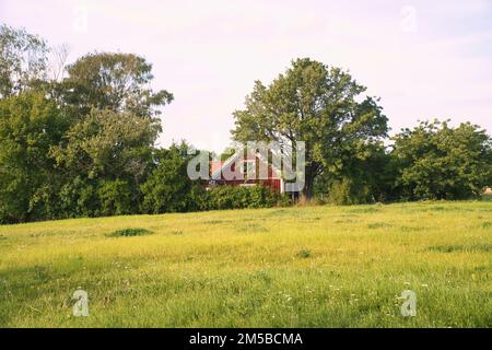 A scenic view of a red house behind an autumn tree in a countryside ...