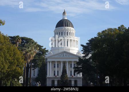 A general overall view of Christmas tree at the California State ...