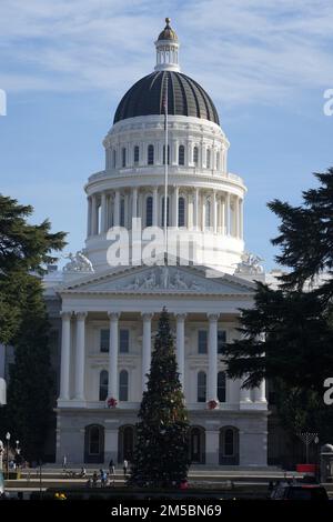 A general overall view of Christmas tree at the California State ...