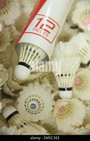 Cardboard, packaging, roll with shuttlecock, pile, shuttlecocks ...