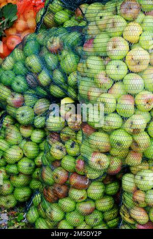 Sacks of freshly harvested apples - John Gollop Stock Photo - Alamy