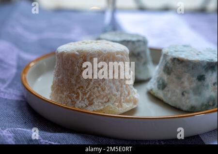 Small french goat cheeses, matured and with grey mold from Macon ...