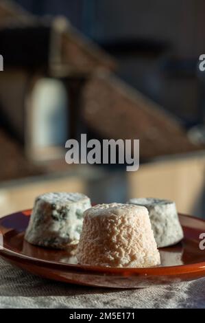 Small french goat cheeses, matured and with grey mold from Macon ...
