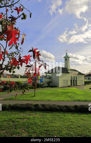Autumn view over the Lido swimming pool, Peterborough City ...