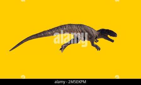 A large scary growling Giganotosaurus dinosaur isolated on a yellow ...