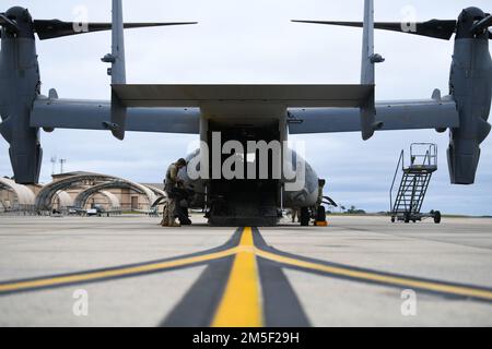 An Air Commando, assigned to the 8th Special Operations Squadron ...