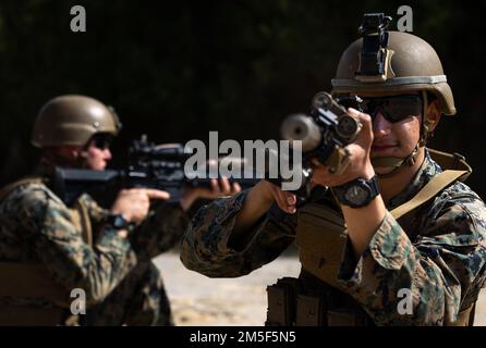 U.S. Marines with 1st Battalion, 3d Marine Regiment, 3d Marine Division ...