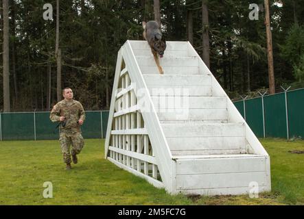 Sgt. Jason Dingler, a military working dog handler with the 95th ...