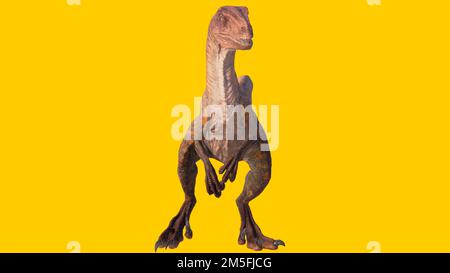 The velociraptor roaring dinosaur isolated on a yellow blank background ...