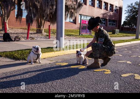 The yellow footprints at Marine Corps Recruit Depot San Diego, Aug. 22 ...