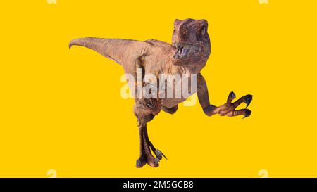 A 3D rendering of a roaring Velociraptor dinosaur isolated on a yellow ...