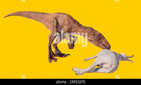 A toy velociraptor dinosaur hunting a goat on a yellow background Stock ...
