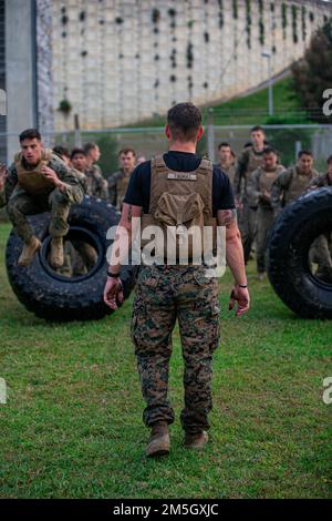 Marine Corps Installations Pacific sergeant major, Sgt. Maj. Peter Siaw ...