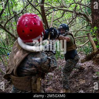 U.S. Marines spar during the culminating event of a Martial Arts ...