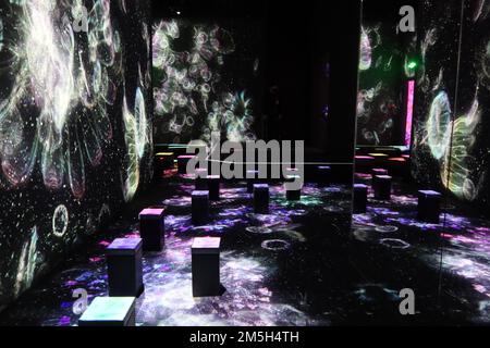 The teamLab Massless Beijing opened its doors for visitors at Chaoyang ...