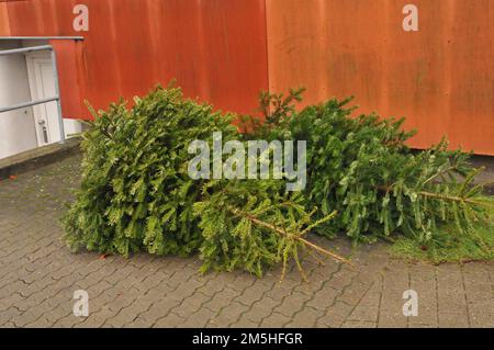 Kastrup/Copenhagen /Denmmark/29 December 2022/.Christmas tree left at ...