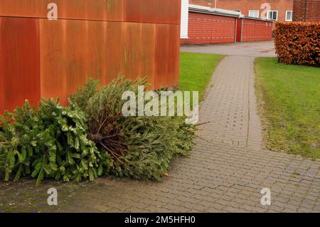 Kastrup/Copenhagen /Denmmark/29 December 2022/.Christmas tree left at ...