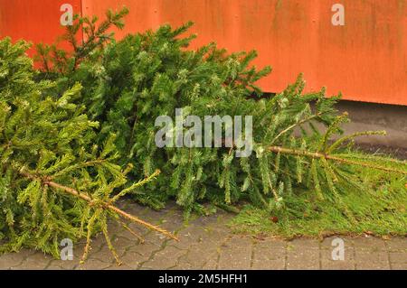 Kastrup/Copenhagen /Denmmark/29 December 2022/.Christmas tree left at ...