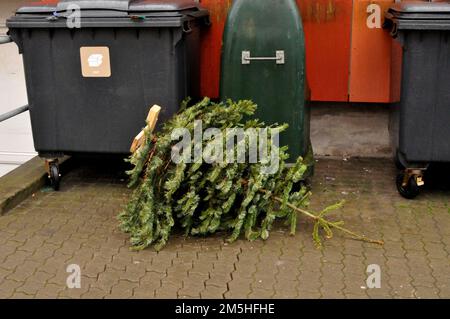 Kastrup/Copenhagen /Denmmark/29 December 2022/.Christmas tree left at ...