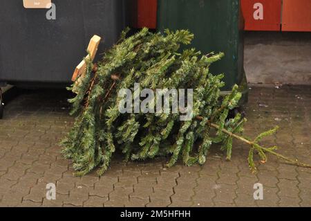 Kastrup/Copenhagen /Denmmark/29 December 2022/.Christmas tree left at ...