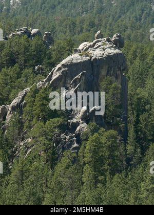 Peter Norbeck Scenic Byway - Breezy Point Landscape. The South Dakota ...