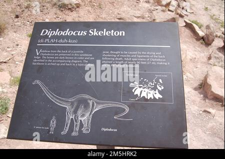 Dinosaur Diamond Prehistoric Highway - Diplodocus Skeleton along the ...