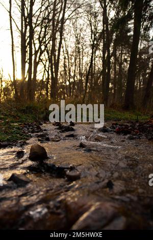 A vertical shot of a river in the woods Stock Photo - Alamy