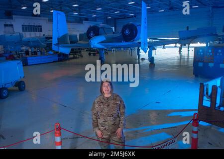 The Idaho Air National Guard’s 124th Fighter Wing hosted the biennial A ...