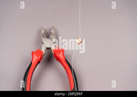Real human teeth hang on threads isolated on a gray background. Pulled ...