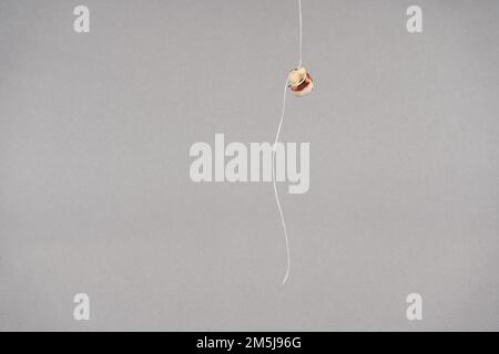 Real human teeth hang on threads isolated on a gray background. Pulled ...