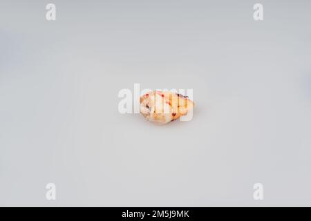 Human wisdom tooth isolated on gray background. Dentistry concept ...