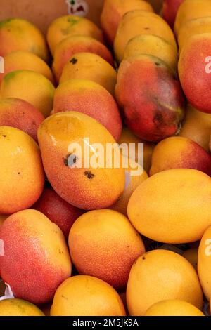Enticing looking mangoes. Close up fruit portrait Stock Photo - Alamy