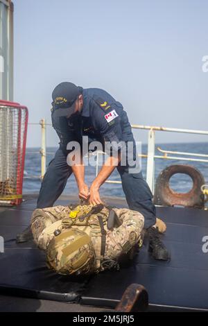 HMCS Goose Bay (MM 707) and other ships participating in Op Nanook 2022 ...