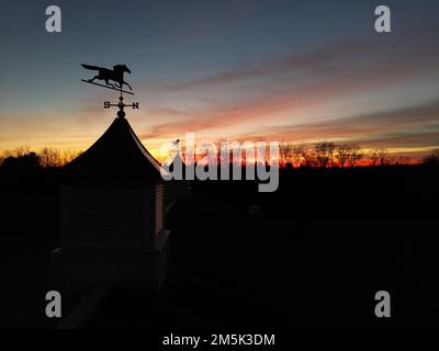 The silhouette of horse weathervanes on cupolas and trees against the ...