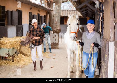 Backyard of stables on typical autumn day - horse walking Stock Photo ...