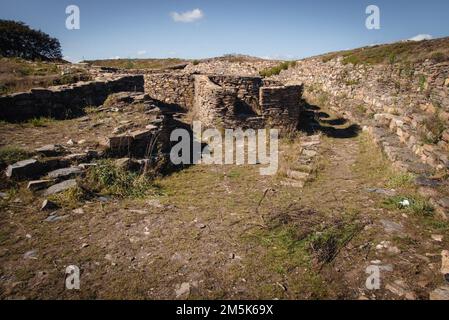 Archaeological research has revealed a large Celtic settlement within ...