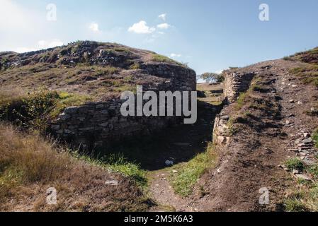 Archaeological research has revealed a large Celtic settlement within ...