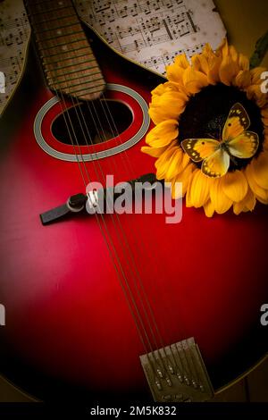 Red On Red Mandolin Stock Photo - Alamy