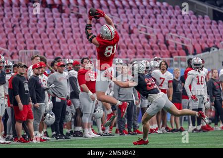 Ohio State linebacker Reid Carrico plays during their NCAA college ...