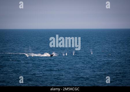 Target practice using .50 calibre machine guns on a Meggitt Training ...
