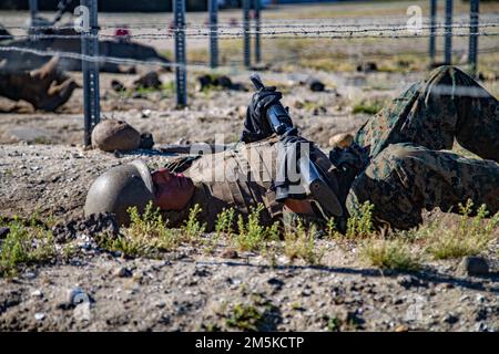 A 1ST Battalion recruit crawls on an infiltration course. Base: Usmc ...