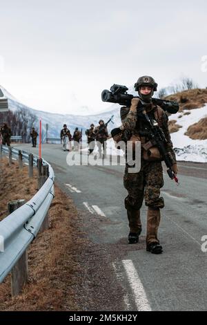 A U.S. Marine Corps multi-purpose canine handler and his dog, both ...