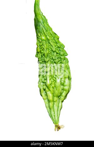 Momordica charantia (commonly called bitter melon; Goya; bitter apple ...