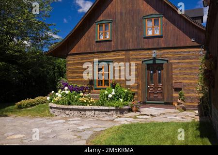 White Hydrangeas, purple Clematis, yellow hemerocallis - Daylilies in ...