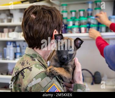 Col. Deborah Whitmer, U.S. Army Veterinary Corps Chief, visits the LTC ...