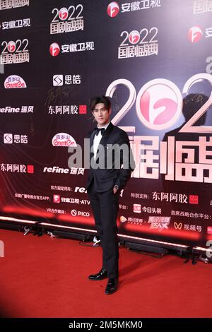 Hong Kong actor and singer Aarif Lee poses on the red carpet for the ...