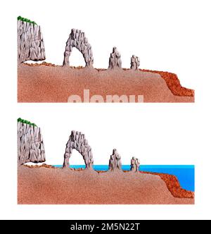 Coastal erosion topographic cross-sectional view Stock Photo - Alamy
