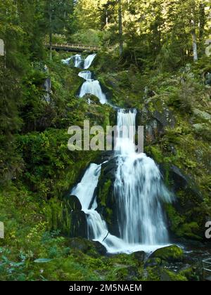 The lower four of the seven steps of the main falls of the Triberg ...