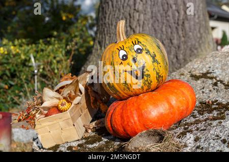 Decorated pumpkin, Thanksgiving garden ornament, Heidenreichstein ...